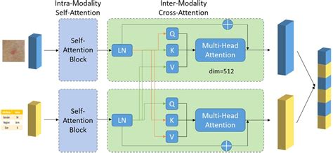 frontiers a deep learning based multimodal fusion model for skin