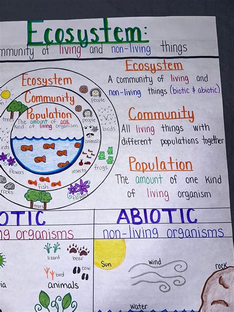 Introduction To Ecosystem Anchor Chart For Elementary Middle And High School Etsy
