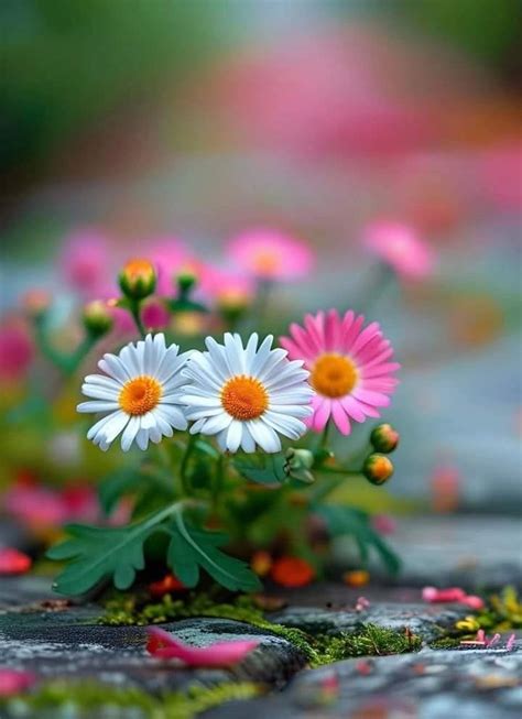 Muhammad Babar Posted On Linkedin Muhammad Babar Posted On Linkedin