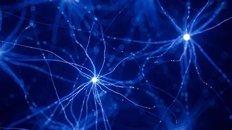 Premium Photo 3d Illustration Of Neuron Cells Network With Glowing