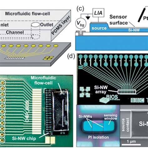 Integrated Microfluidic Biosensor Cartridge Consisting Of A Si Nw