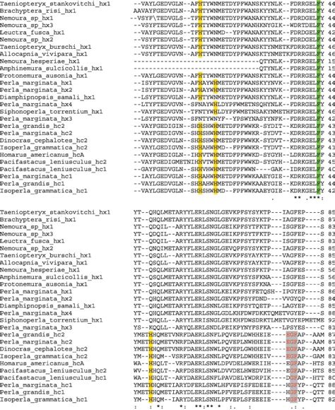 Multiple Sequence Alignment Clustal W 183 Of Hemocyanins Conserved