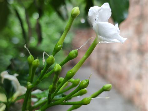 Redmi K20 Pro Xiaomi Mi 9T Pro Review Flagship Killer Redefined