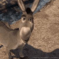 Shrek Donkey  Im All Alone