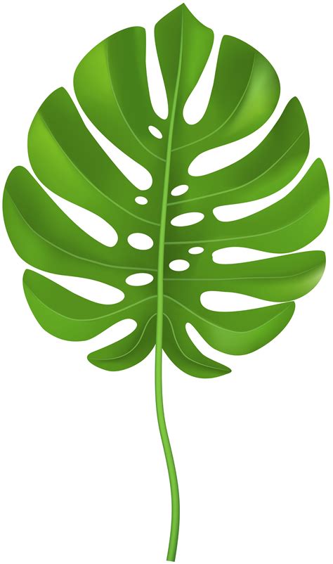 Tropical Leaf Printable Printable Calendars At A Glance