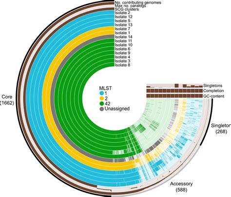 Pangenome Calculation Of Invasive Streptococcus Agalactiae Serotype Download Scientific Diagram