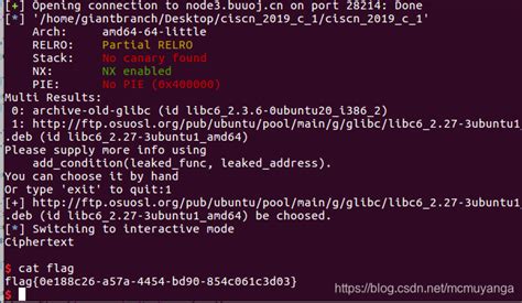 Buuctf Pwn6——ciscn2019c1bugkuctf Pwn题pwn6 Csdn博客