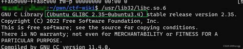 准确识别elf文件使用的libcso版本，libcsearcher 工具的使用 Csdn博客