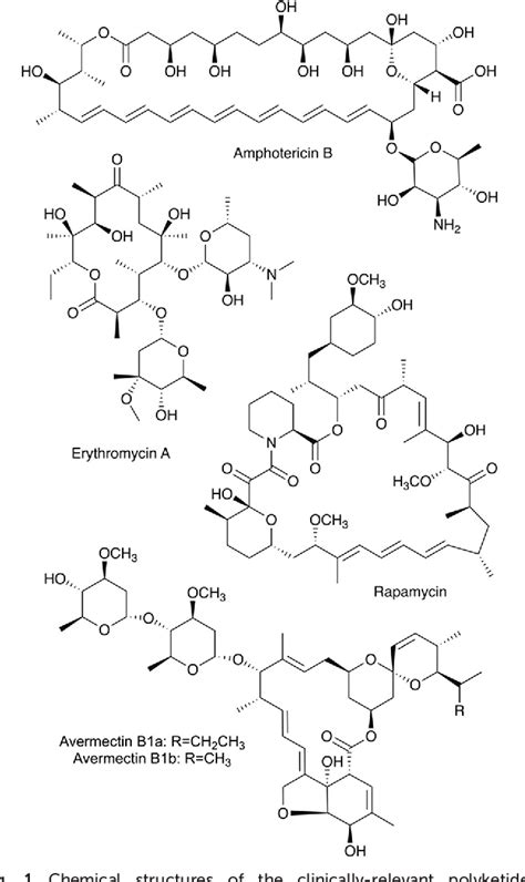 Figure 1 From Diversification Of Polyketide Structures Via Synthase Engineering Semantic Scholar