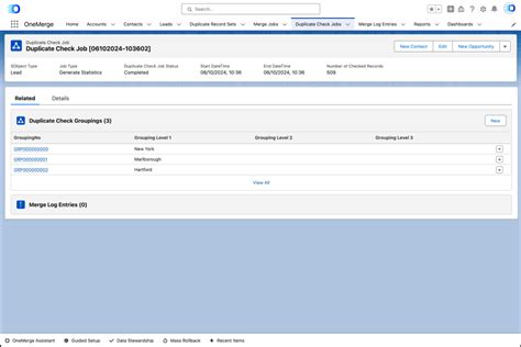 Salesforce Duplicate Reporting Onemerge