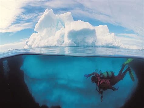 Русские в книге рекордов Гиннесса Дичь Дзен