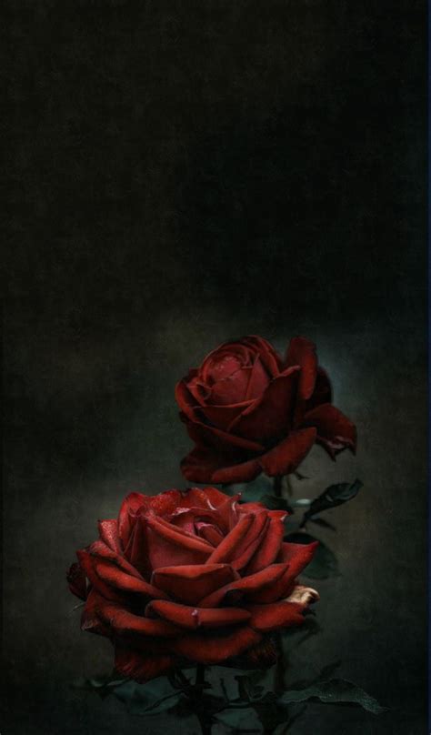 Pin By Teri Pinela On Cute Pics In 2024 Abstract Art Wallpaper Art Wallpaper Wallpaper