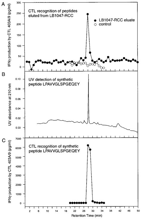 Elution Of The Natural Peptide Recognized By Ctl 403a9 A Hplc Download Scientific Diagram