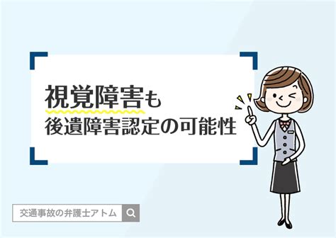 障害 程度 区分 視力 expansionsuppo