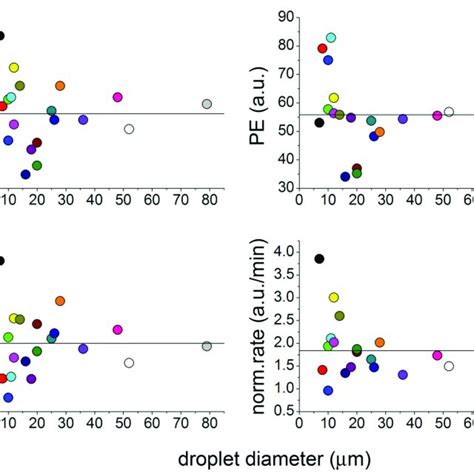 Protein Synthesis Inside Soybean Lecithin Wo Droplets Confocal Download Scientific Diagram