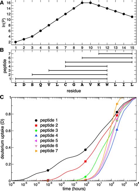 A Protection Factors For A 15 Residue Sequence Peptide Fragments For A Protection Factors For A 15 Residue Sequence Peptide Fragments For