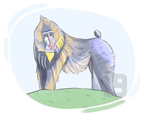 Definition And Meaning Of Mandrill Langeek