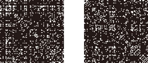 The Binarized Matrices Of Two Groups The Graphs Show The Binarized Download Scientific