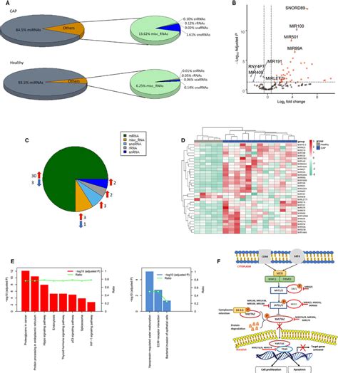 Landscape Of Small Non‐coding Rna Species In Patients With Sepsis Download Scientific Diagram