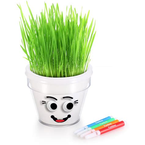Diy Plant A Grass Head Pot Kit White Au