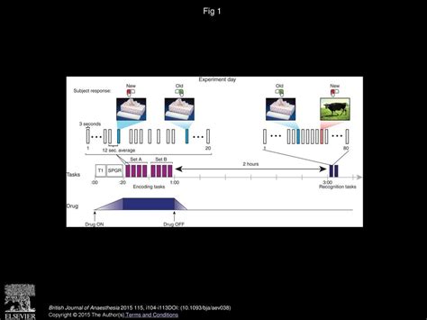 Effect Of Propofol On The Medial Temporal Lobe Emotional Memory System A Functional Magnetic