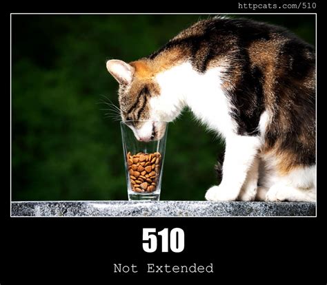510 not extended status code and cats