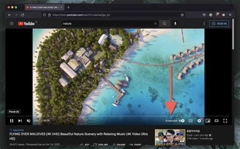 3 Ways To Screenshot Youtube Videos