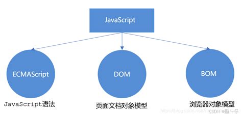 Javascript基础总结js脚本 Csdn博客