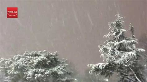 함박눈이 내리는 날의 풍경 Youtube