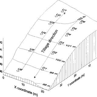 Topographic Map Of The Experimental Site With The Location Download Scientific Diagram