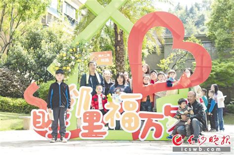 全家总动员一起来嗨皮 长沙晚报网