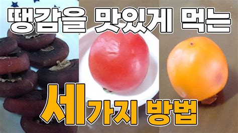땡감을 맛있게 먹는 세가지방법 땡감으로 곶감 홍시 단감 만들기 Youtube