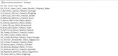 Multicast Transformation In Ssis Hireforceglobal