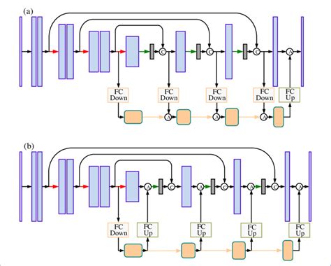 Structural Comparison Of Simplified Dual Path Hybrid Networks A Download Scientific Diagram