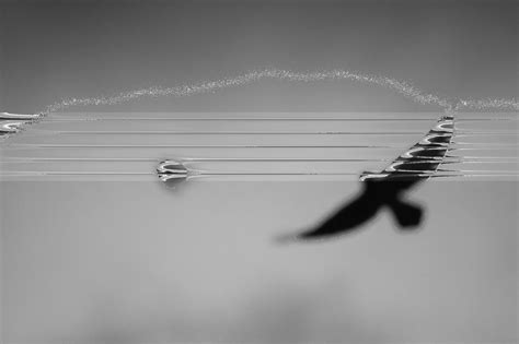 Export As Image File Windows Audacity Forum