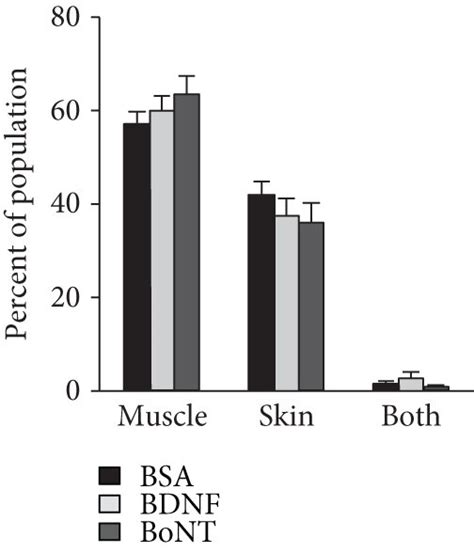 Retrograde Labeling Of Motoneurons 20 Weeks After Lesion A C