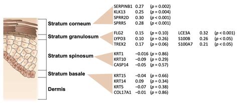 Profiling The Atopic Dermatitis Epidermal Transcriptome By Tape Stripping And Brb Seq