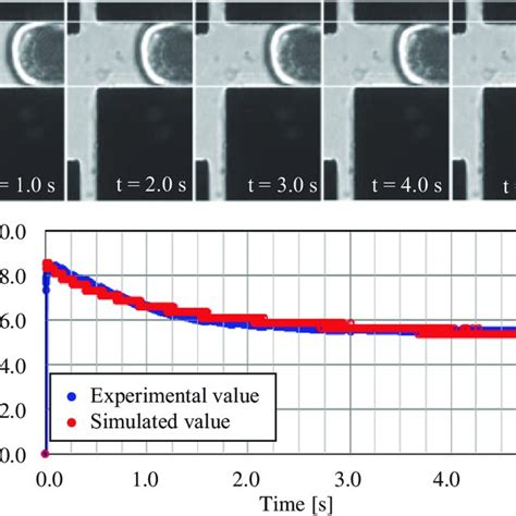 17 On Chip Cell Mechanical Characterization A Sequential Photographs Download Scientific