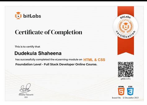 Dudekula Shaheena On Linkedin Html Certificate From Bitlabs