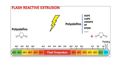 Functionalization Of Polyolefins With Maleic Anhydride By Flash Reactive Extrusion Processing