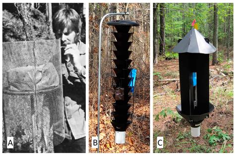 Composition Of Attractant Semiochemicals Of North American Species Of