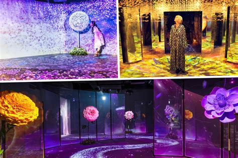 Naked Flowers Show To Open In Hong Kong With Flower Themed Immersive Rooms The Hk Hub