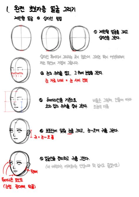 얼굴을 그리는 두 가지 방법계란형 얼굴십자선 A루미스식 도형화 그림 마이너 갤러리
