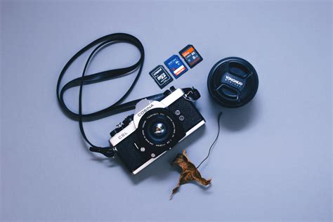 무료 이미지 과학 기술 렌즈 뚜껑 계량기 마른 잎 장치 세례반 전자 제품 카메라 렌즈 코사인 렌즈 커버 메모리 카드 마이크로 Sd 6000x4000