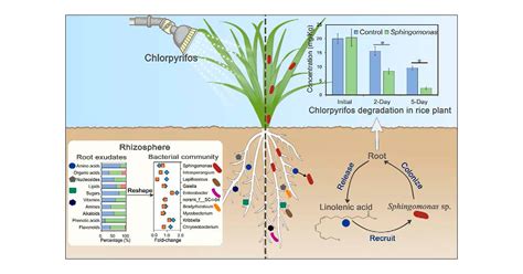 Foliar Spraying Of Chlorpyrifos Triggers Plant Production Of Linolenic