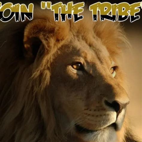 Mikemarcus Empowerment Mike Lampkin