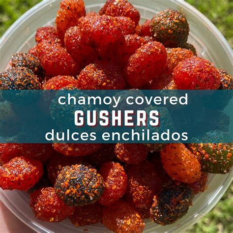Chamoy Fruit Gushers Recipe At Travis Munoz Blog