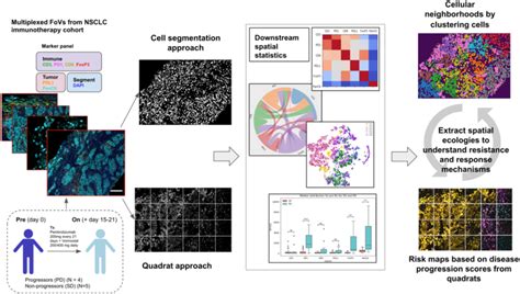 Graphical Abstract Showing The Two Computational Approaches Developed