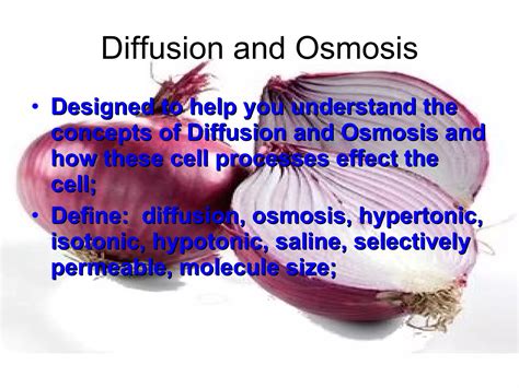 Diffusion Ppt