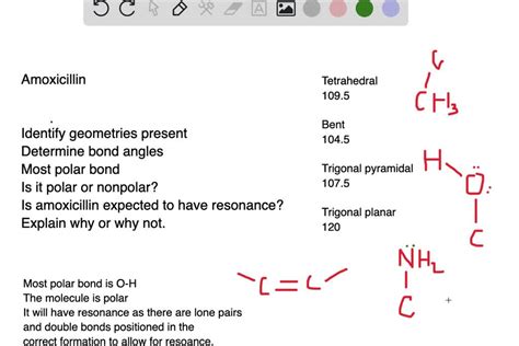 Solved 8 Pts Consider The Structure Of The Antibiotic Amoxicillin Shown Nhz Ho Ho Amoxicillin